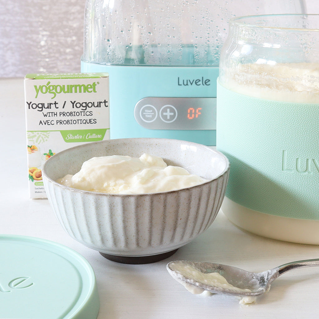 How to make Yogourmet probiotic yogurt - Luvele UK